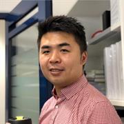 Peter Vuong | About me | Deakin University